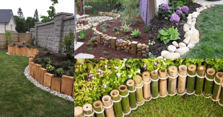 20+ Idées Créatives Pour Les Bordures De Jardin